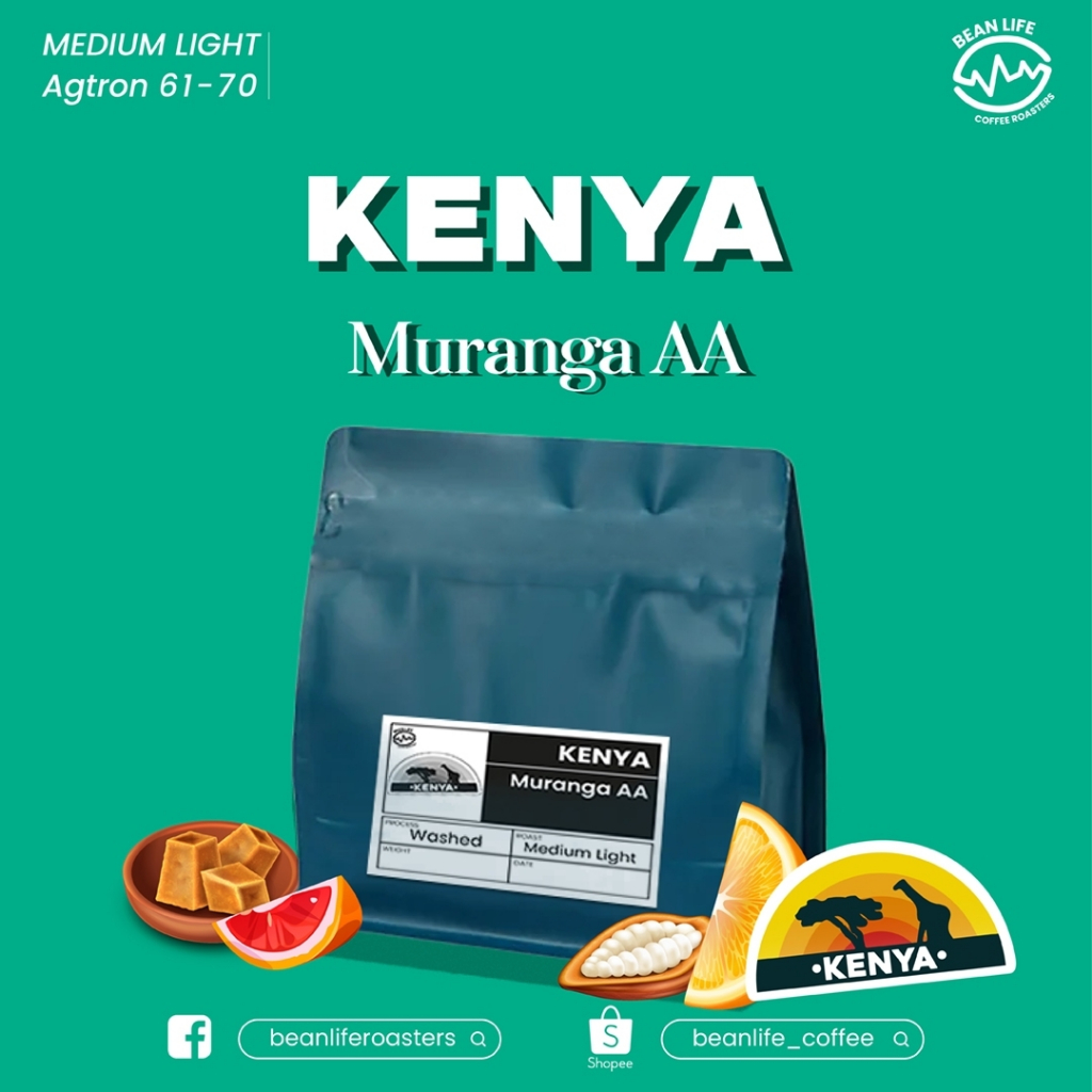 Kenya Muranga AA - Washed Process (Medium Light) | Shopee Thailand