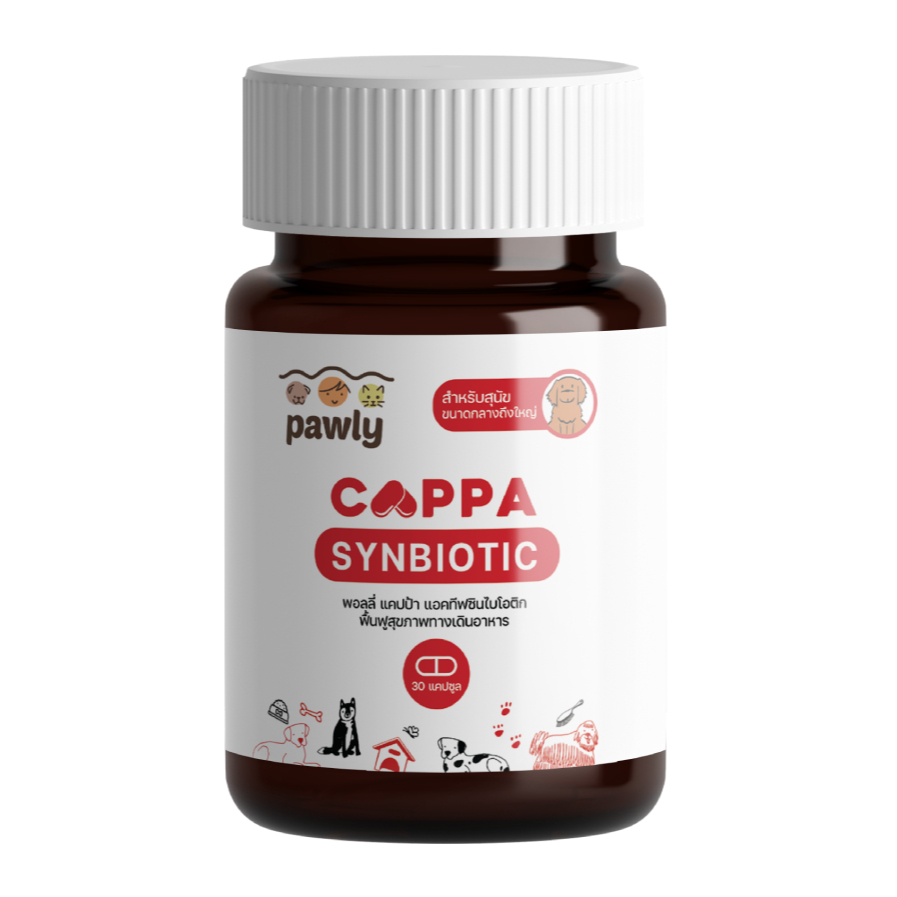Pawly Cappa Synbiotic จุลินทรีย์ โพรไบโอติก พรีไบโอติก Probiotics รักษา ...