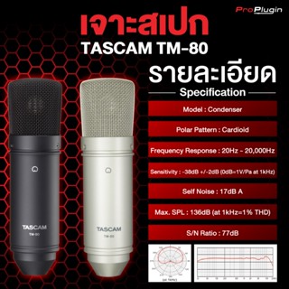 Tascam TM-80 Studio Condenser Microphone (ProPlugin) | Shopee Thailand