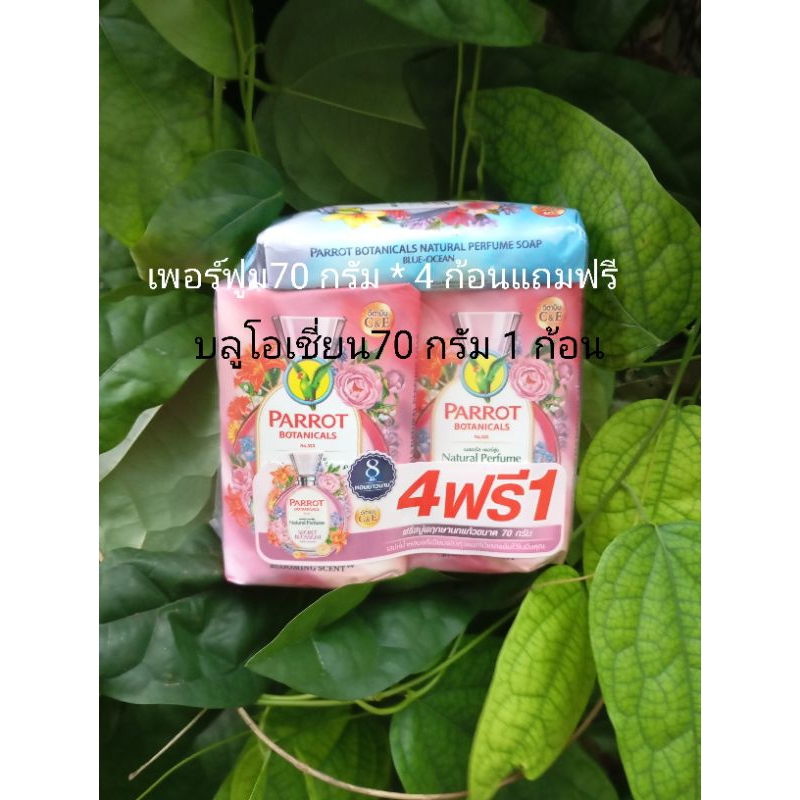 ถูกที่สุดแล้ว !! สบู่นกแก้ว Parrot 55 กรัม (1 แพ็คมี 6 ก้อน) ราคาพิเศษ และ กลิ่นลีลาวดีจัมโบ้ ...