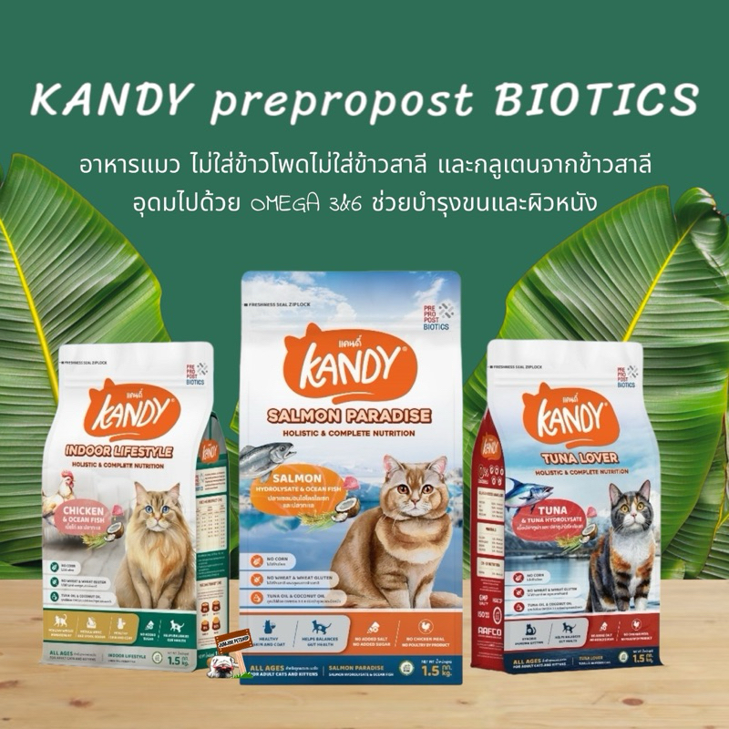 Kandy 1.5กก (1ลัง จำนวน6ถุง) ***แพ็คแบบห่อบับเบิ้ลไม่ใส่กล่อง*** อาหาร ...