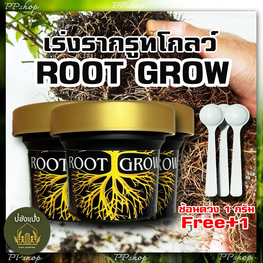 ผงเร่งราก RootGrow(ชนิดผงดำ) ออแกนิค/ปักชำติดทุกกิ่งเข้มข้นเห็นผลปลอดภัย100%ขนาด : 100กรัม **ฟรี ...