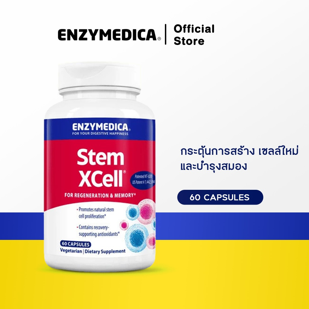 ENZYMEDICA Stem XCell 💝กระตุ้นการสร้างเซลล์ใหม่และบำรุงสมอง เร่งการ ...