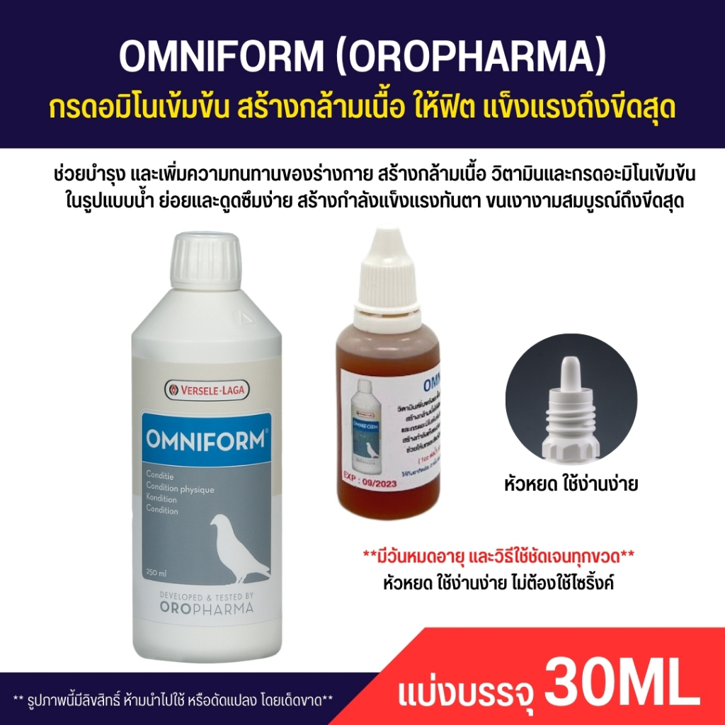 OMNIFORM กรดอมิโนเข้มข้น สร้างกล้ามเนื้อ ให้ฟิต แข็งแรงถึงขีดสุด ...
