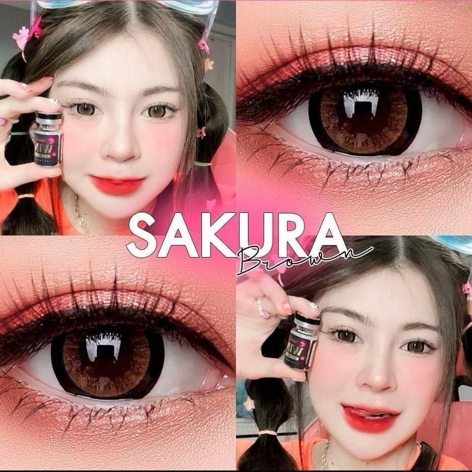 Sakura Brown ขนาดตาโต กรองแสงuv เลนส์แท้จดทะเบียนถูกต้อง ผ่านอย.ไทย ...