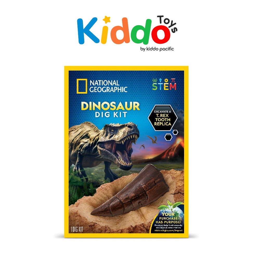 National Geographic Dino Fossil Dig Kit ของเล่น วิทยาศาสตร์ ชุดขุด ...