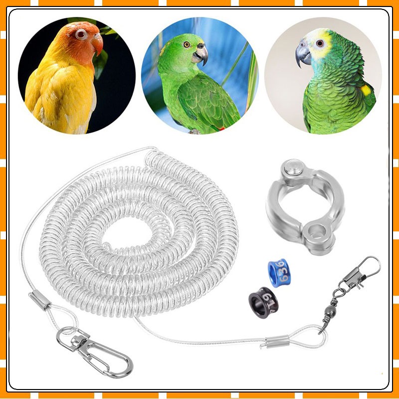 ชุด3อย่าง สายาจุงนก+ห่วงเปิดปิดนก+ห่วงอลูมิเนียม ฝึกนกบิน กลางแจ้ง กัน ...