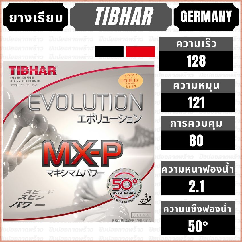 ยางปิงปอง TIBHAR รุ่น EVOLUTION MX-P 50° | Shopee Thailand