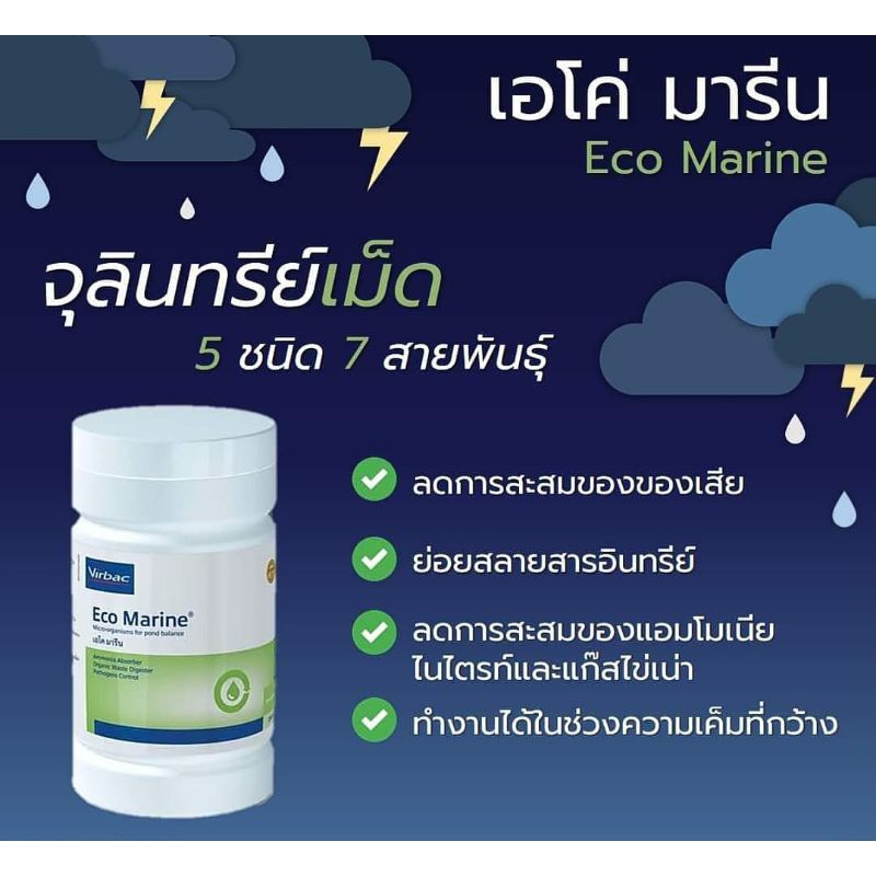 เอโค่ มารีน Eco marine | Shopee Thailand