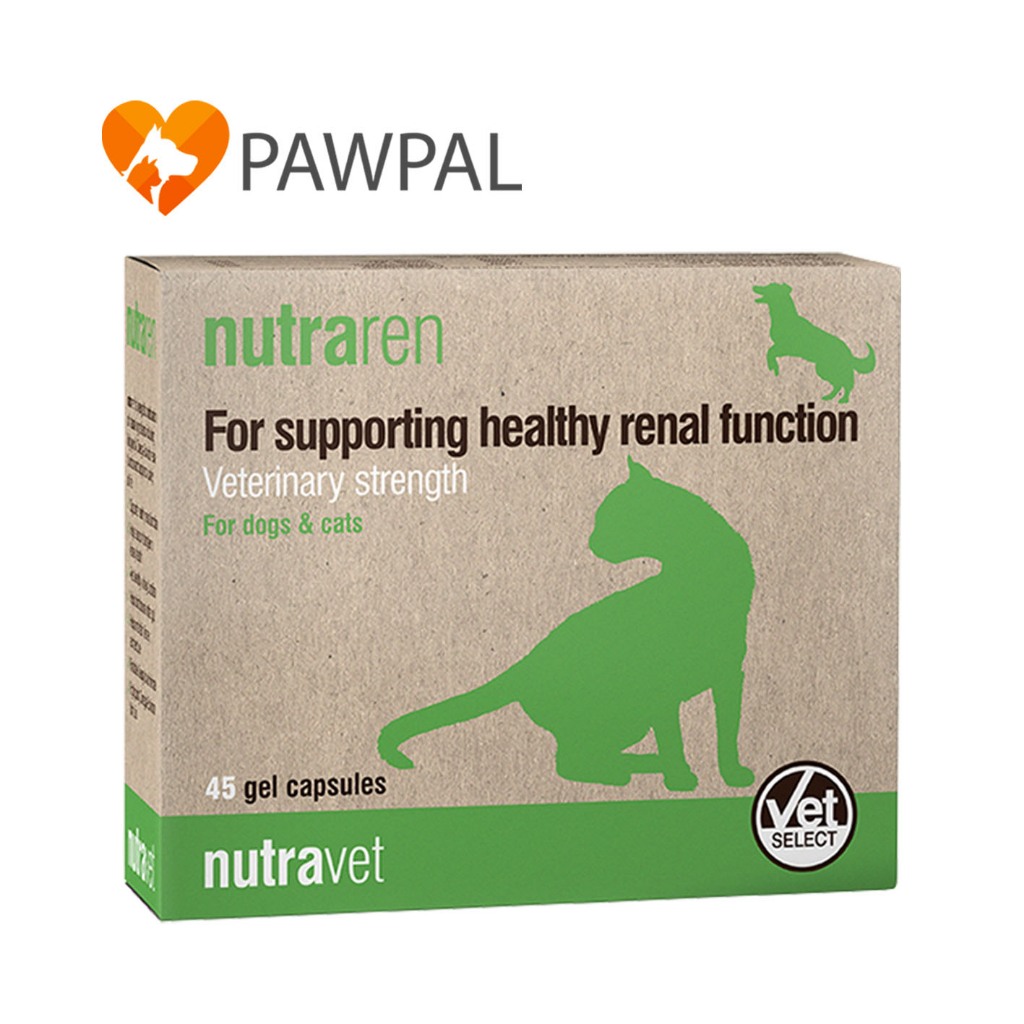Nutraren Nutravet🔥Exp.1/2026 อาหารเสริม บำรุงไต สุนัข แมว สัตว์เลี้ยง ...