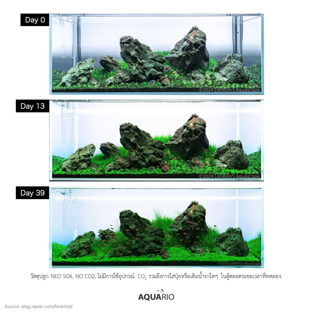 Aquario Neo Soil NO CO2 ดินปลูกไม้น้ำสำหรับตู้พรรณไม้น้ำที่ไม่ใช้ ...