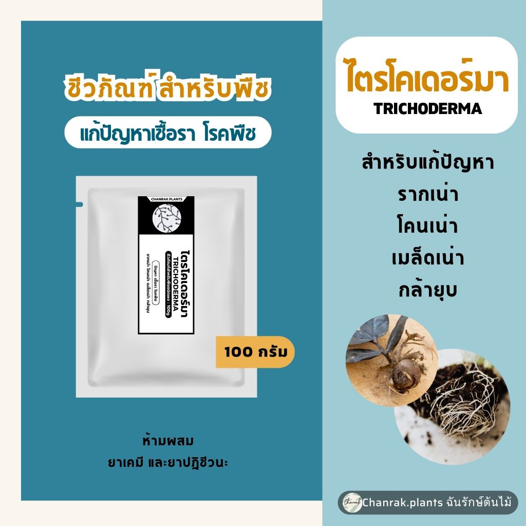 ไตรโคเดอร์ม่า Trichoderma สำหรับ ป้องกันเชื้อรา โรคพืช แบบผง ขนาด 100 ...