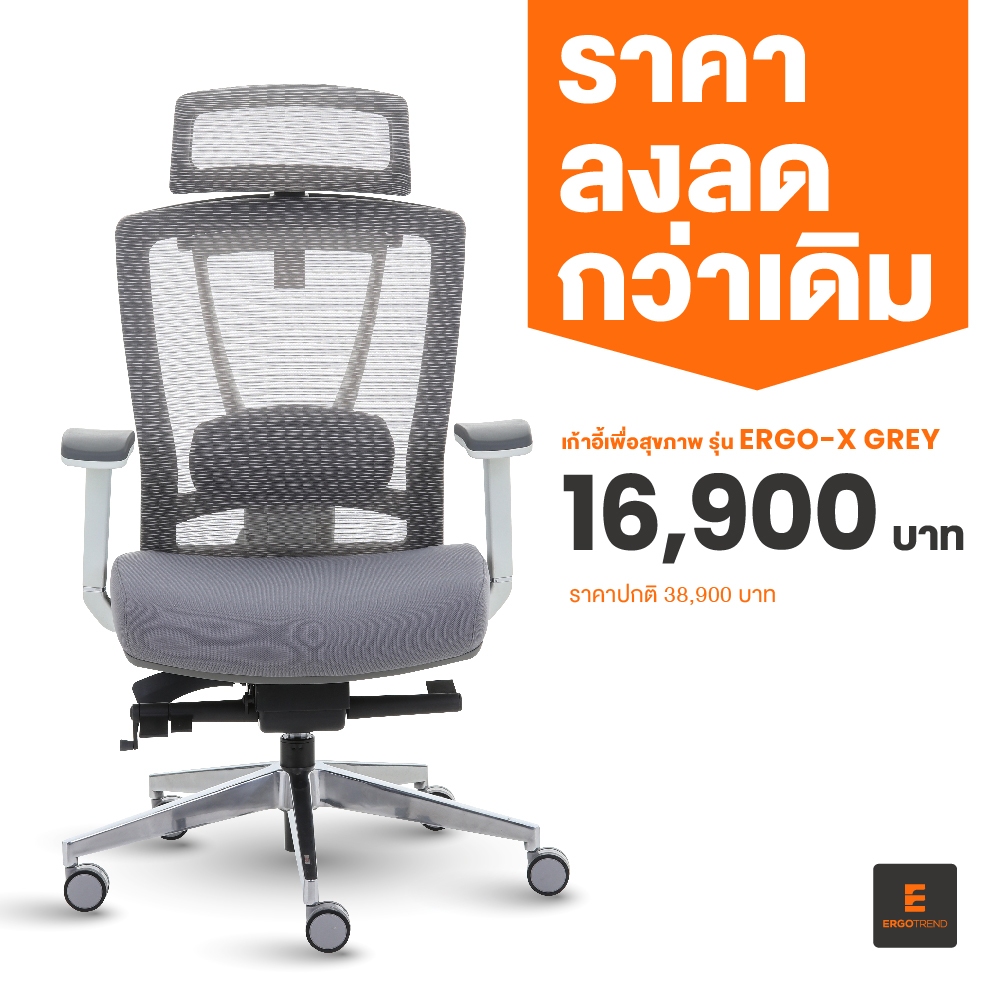 Ergotrend เก้าอี้เพื่อสุขภาพ เออร์โกเทรน รุ่น ERGO-X GREY สีเทา | Shopee Thailand