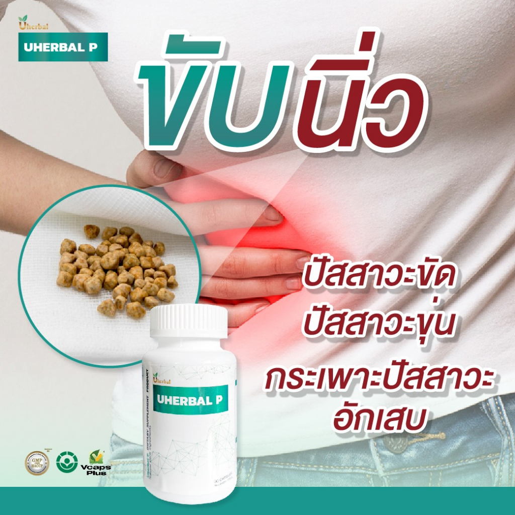 Uherbal P ยูเฮอร์เบิลพี สมุนไพรช่วยเรื่องนิ่วในไต นิ่วกระเพาะปัสสาวะ ปัสสาวะขัด กระพาะปัสสาวะ ...