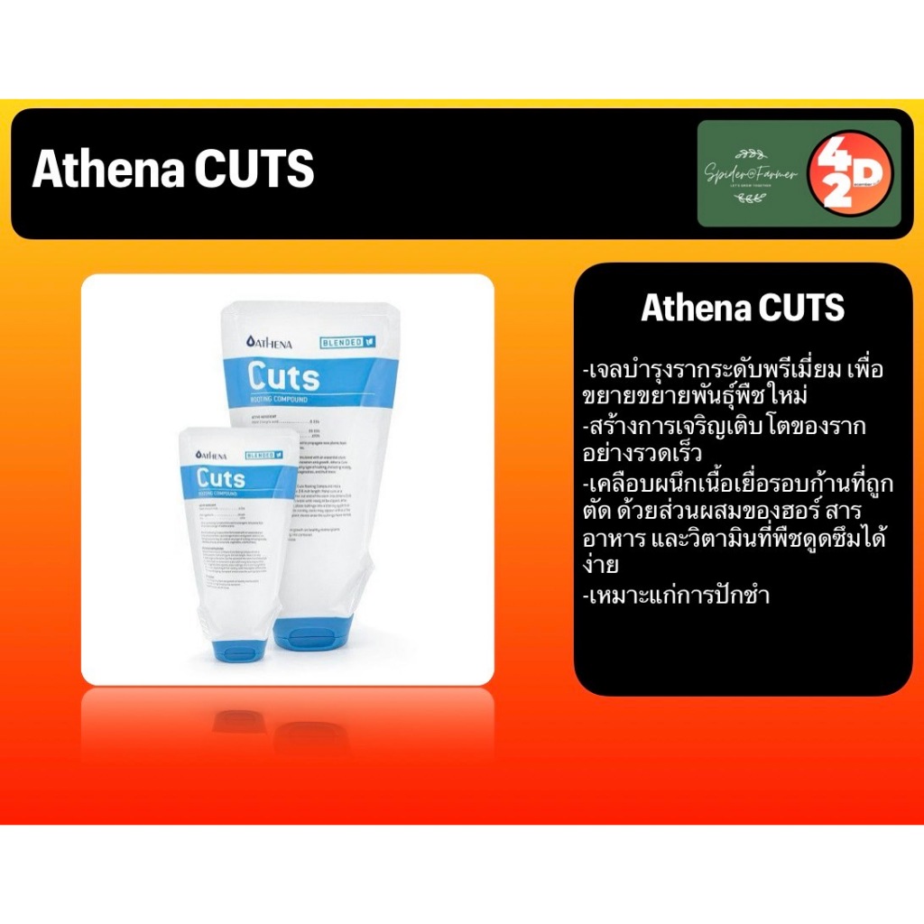 [สินค้าใหม่จากUSA] Athena CUTS เจลเร่งราก น้ำยาเร่งราก เจลระเบิดราก เจล ...