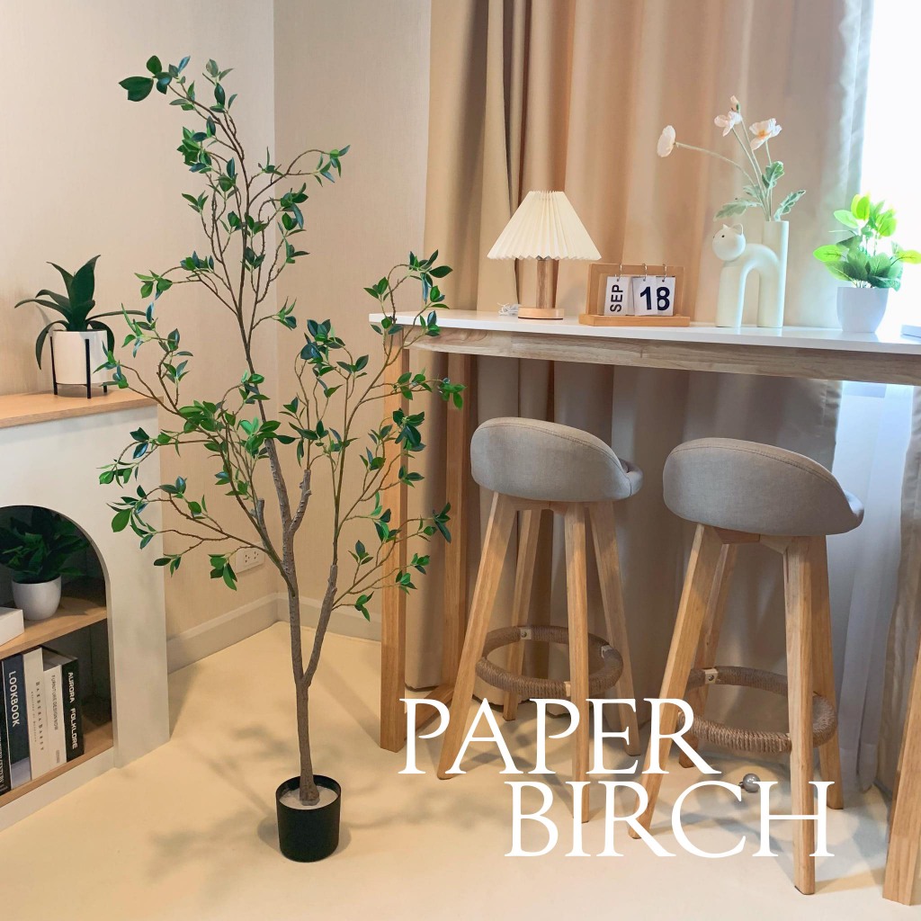 Paper Birch Tree ต้นเปเปอร์บริช ต้นไม้ปลอมสำหรับตกแต่งบ้าน ออฟฟิศ สไตล์ ...
