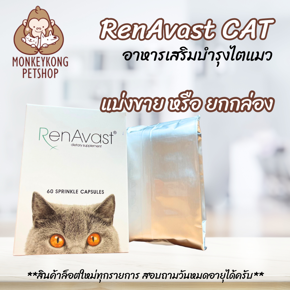 Renavast Cat อาหารเสริมบำรุงไต กรดอะมิโนจำเป็นสำหรับแมว เสริมสร้าง ...
