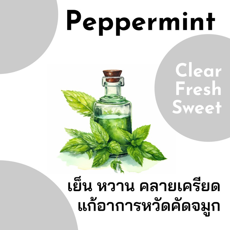 essential oil (minty)eucalyptus, tea tree, peppermint, wintergreen ...