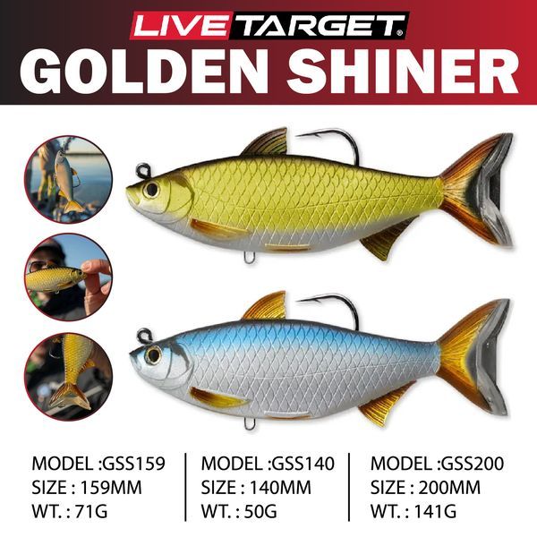 เหยื่อปลอม LIVE TARGET GOLDEN SHINER | Shopee Thailand