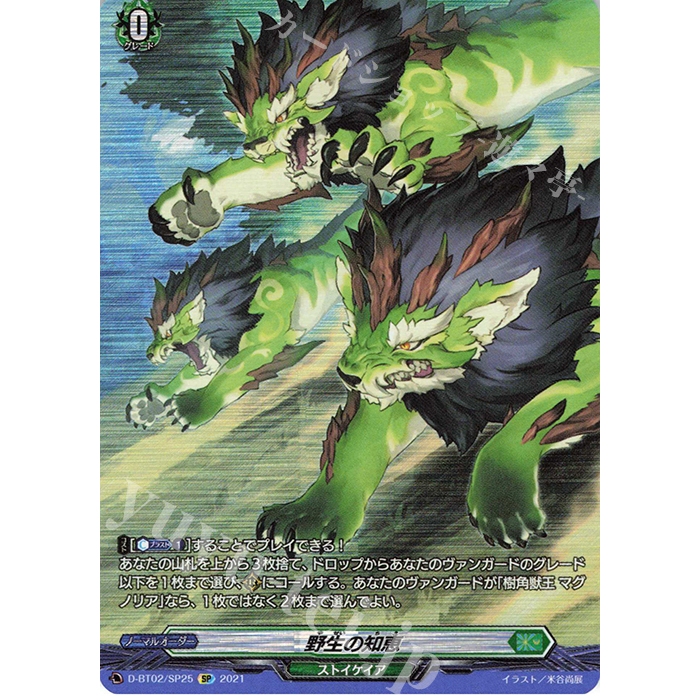 Vanguard D-BT02/SP25 (SP) Wild Intelligence | Shopee Thailand