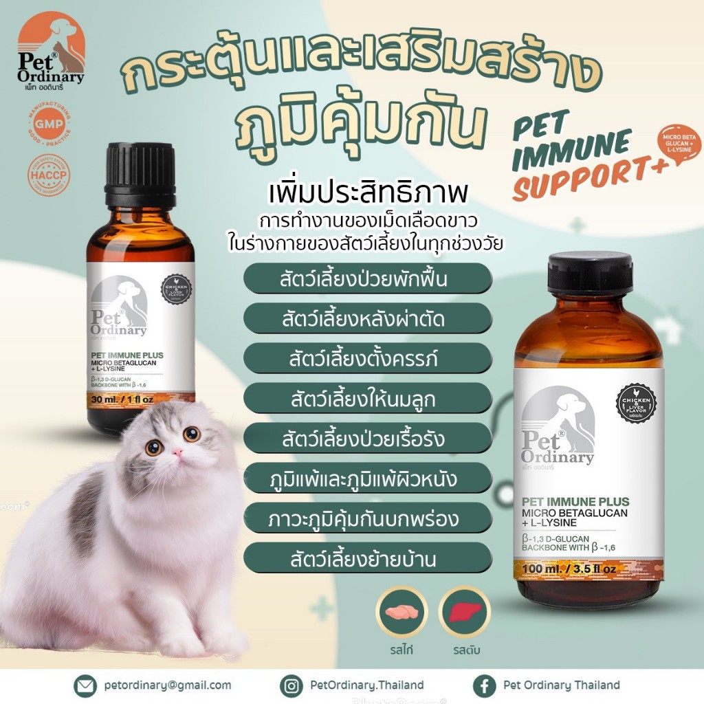 Pet Ordinary ผลิตภัณฑ์เสริมอาหารกระตุ้นภูมิคุ้มกันสำหรับสัตว์เลี้ยง ...