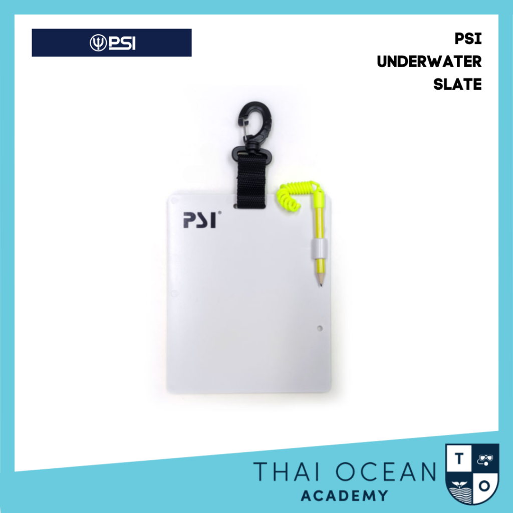 PSI Underwater Slate กระดานเขียนใต้น้ำ | Shopee Thailand