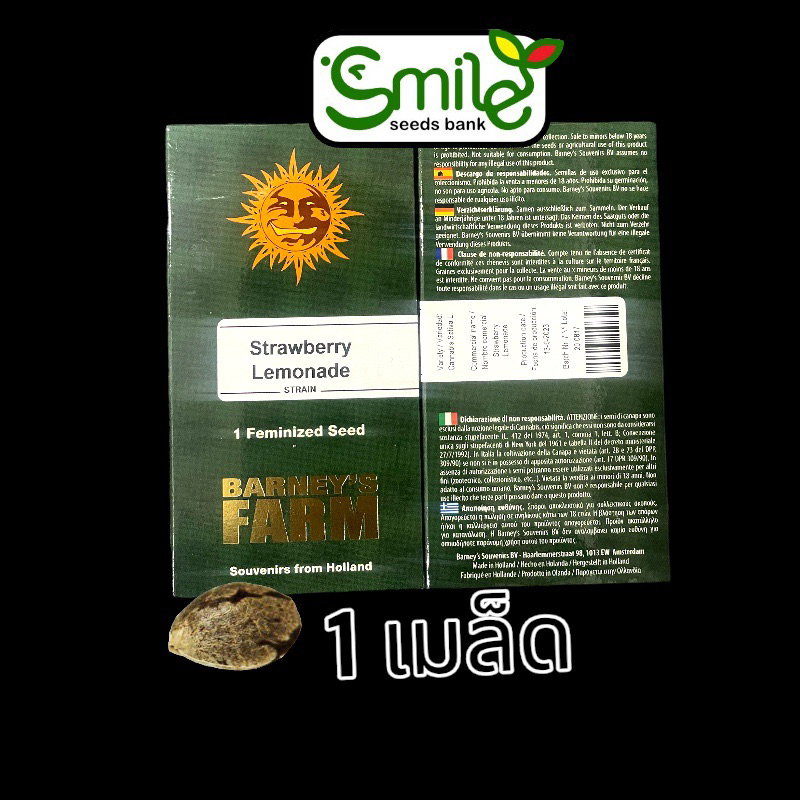 เมล็ดกัญชา Strawberry Lemonade (Fem) - Barney’s Farm | Shopee Thailand