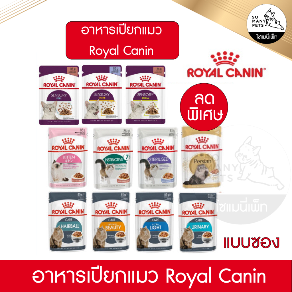 Royal canin โรยัลคานิน อาหารเปียกแมว แม่แมว ลูกแมว หลายสูตร โรยัลคานิน ...