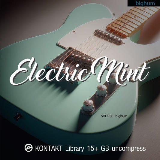 Electric Mint v 1.1 VST Kontakt Library | win / Mac | plugins | Shopee ...