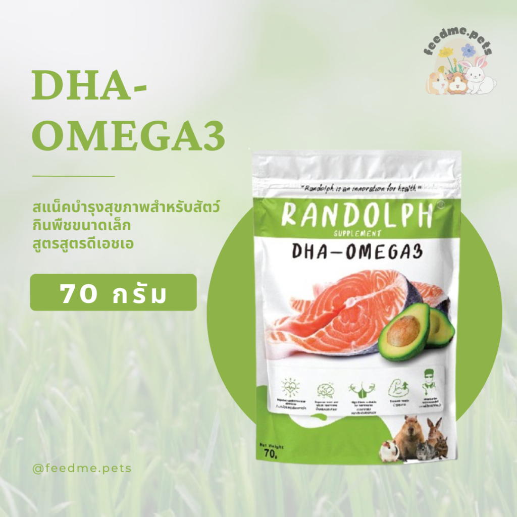 Randolph DHA-OMEGA3 70g. สแน็คบำรุงสุขภาพสำหรับสัตว์กินพืชขนาดเล็ก สูตรสูตรดีเอชเอ | Shopee Thailand