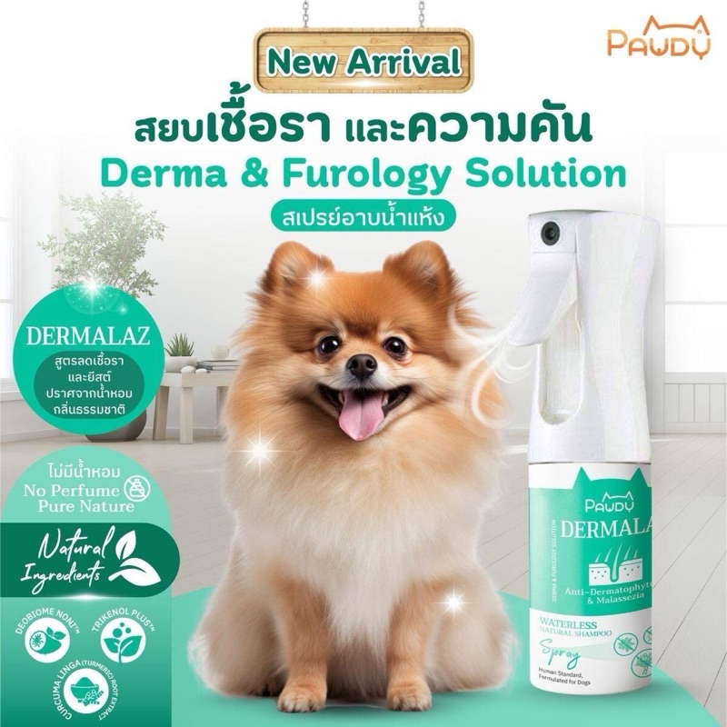 Pawdy Spray สเปรย์อาบน้ำแห้งสุนัข สูตร Natural ลดเชื้อราและยีสต์ ลดการ ...