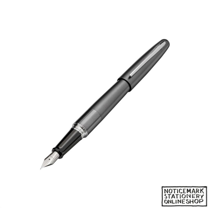 Pilot Cocoon Fountain Pen - Metallic Gray | Shopee Thailand