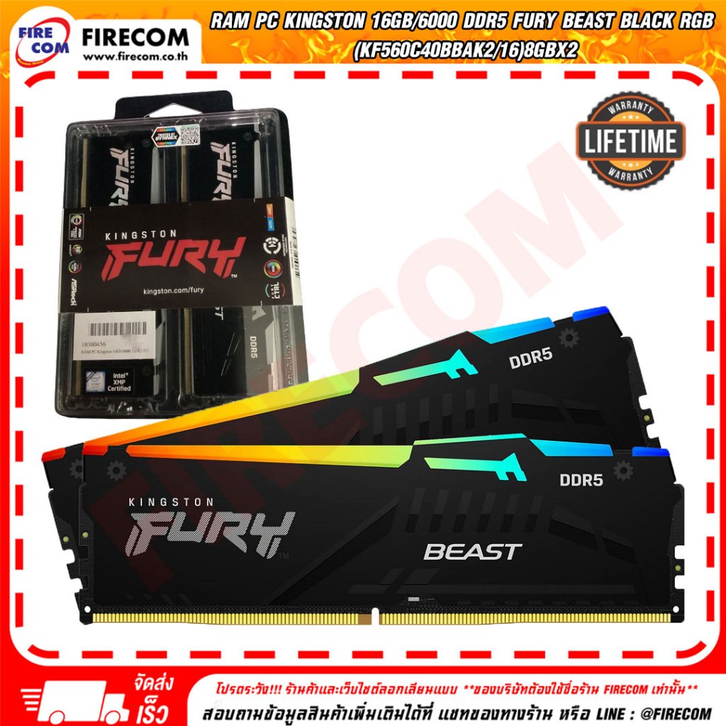 แรม RAM PC Kingston 16Gb/6000 DDR5 FURY Beast Black RGB (KF560C40BBAK2 ...