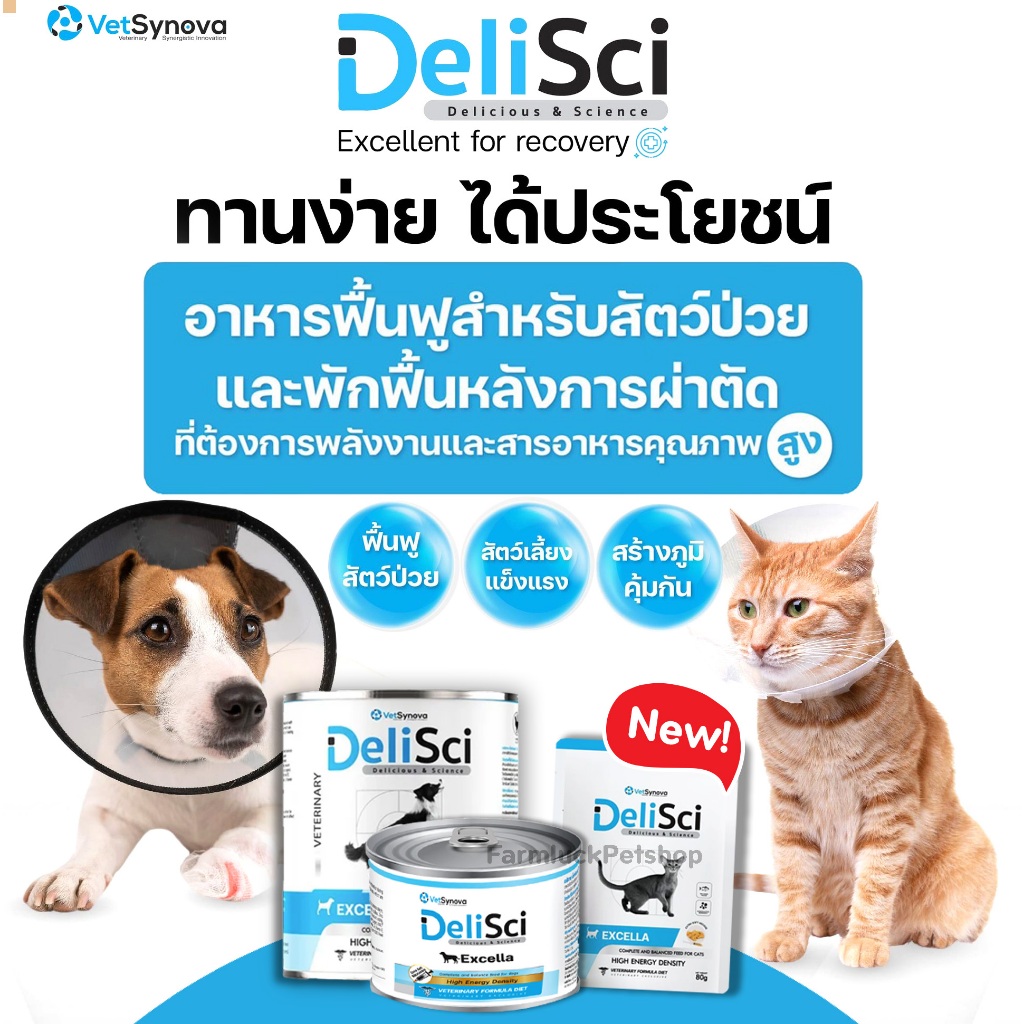 DeliSci Excella Recovery อาหารฟื้นฟูสําหรับสัตว์ป่วย ขาดสารอาหาร พัก ...