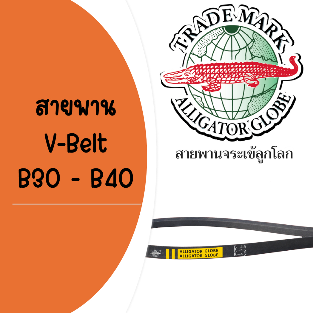 สายพาน จระเข้ลูกโลก B30 - B40 | Shopee Thailand