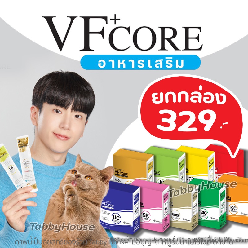 ถูกที่สุด!! ยกกล่อง 30 ซอง🔥ขนมแมวเลีย VFcore ไลซีน, บำรุงเลือด, บำรุงข้อต่อ 30ซอง/กล่อง🔥 ...