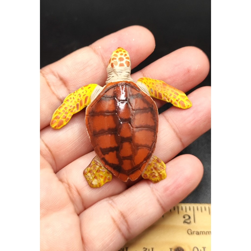 ฟิกเกอร์ สัตว์จิ๋ว เต่าทะเล เต่าหัวค้อน Kaiyodo Chocolate Egg ...