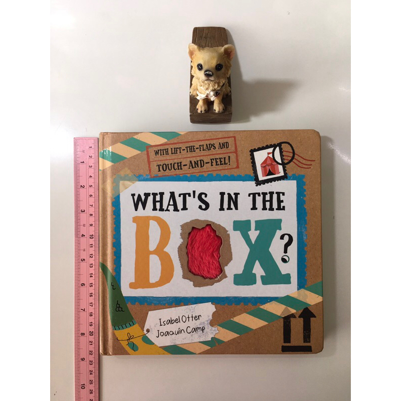 What’s In The Box (Lift-The-Flaps) By Isabel Otter หนังสือภาษาอังกฤษมือ ...
