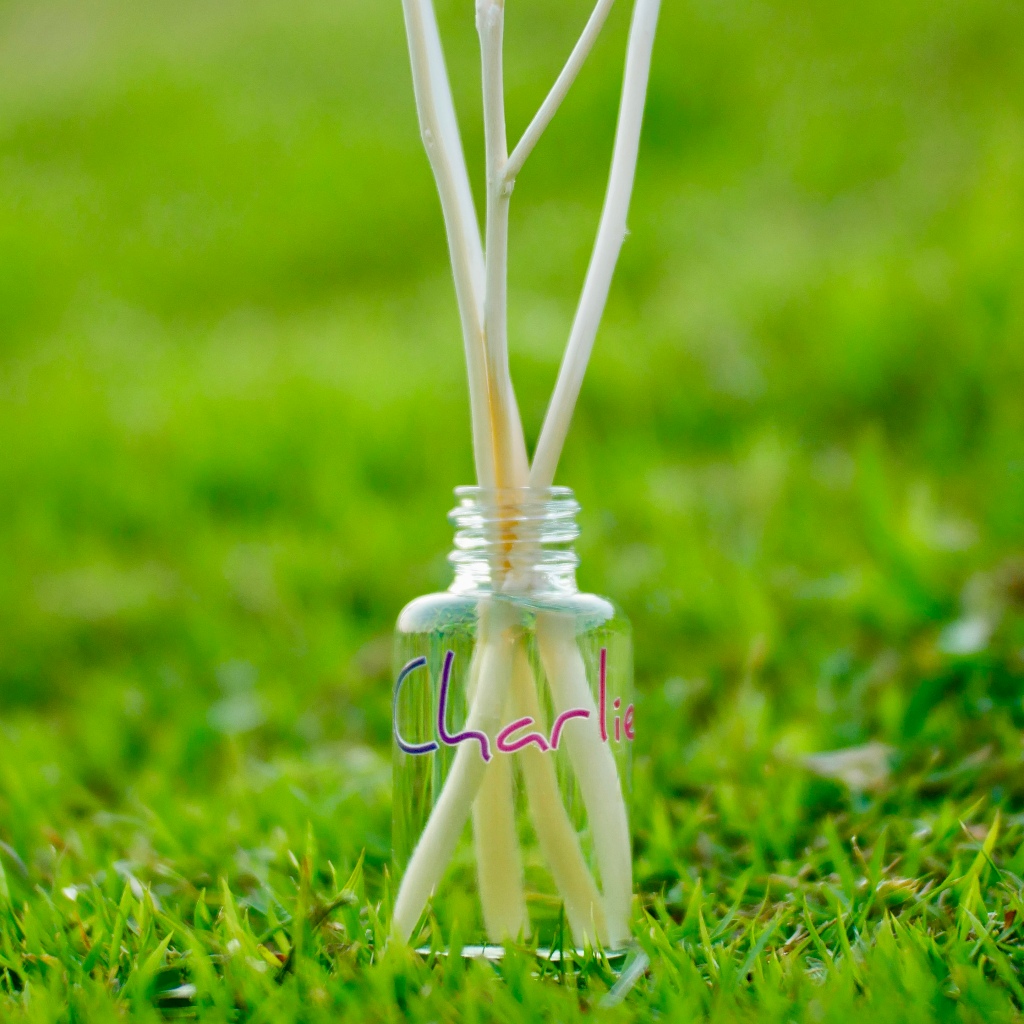 Enchanted Forest Reed Diffuser 25 ml | Shopee Thailand