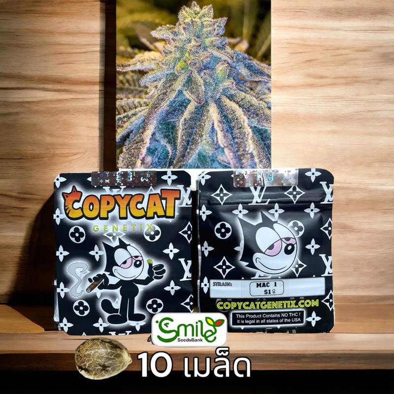 เมล็ดกัญชา MAC1 S1 (Fem) - Copycat Genetix | Shopee Thailand