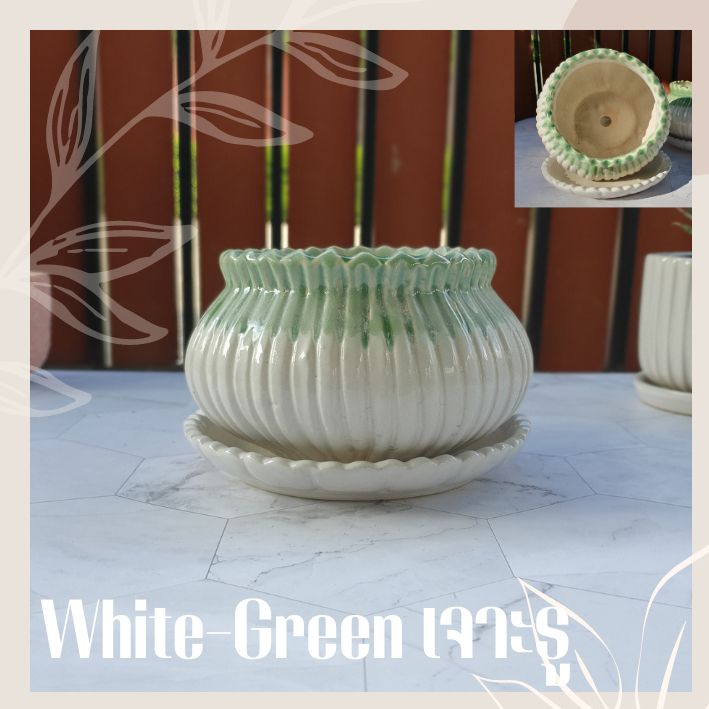 กระถางเซรามิค ทรงน้ำเต้า (Calabash Pot) | Shopee Thailand