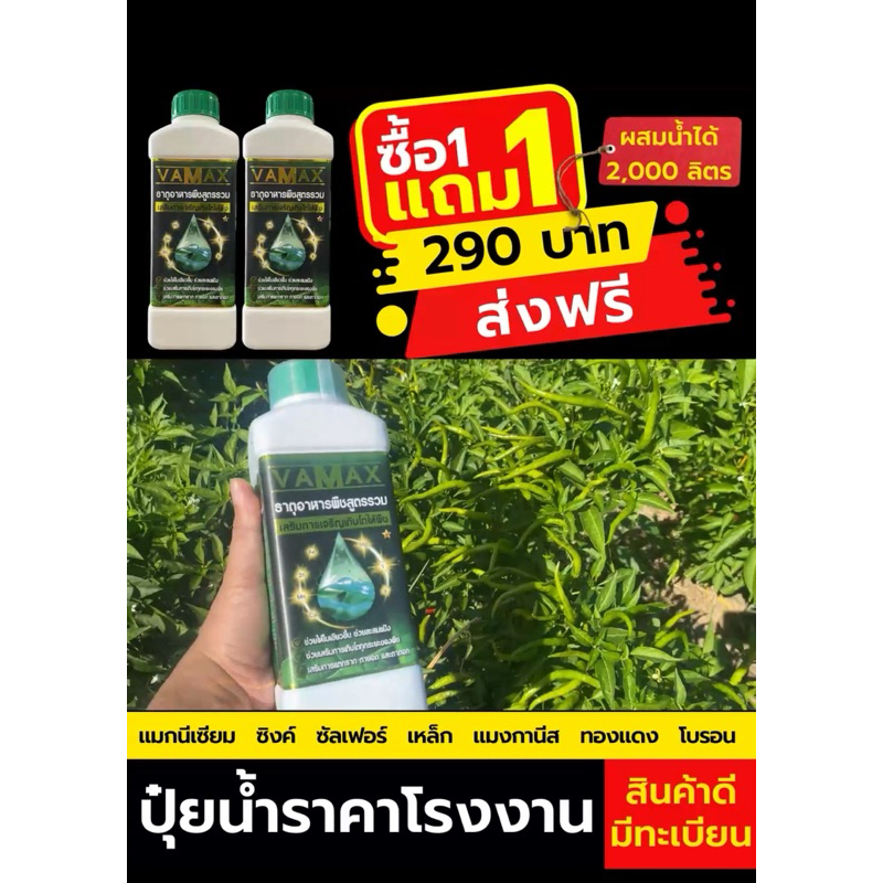 ปุ๋ยน้ำ ยกลัง Vamax ธาตุอาหารรวม(โปรสุดคุ้ม ซื้อ 6แถม 6) | Shopee Thailand