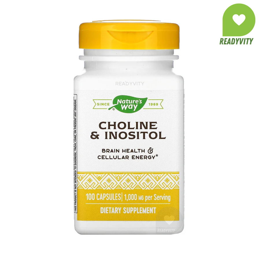 Nature's Way, Choline & Inositol, 1,000 mg, 100 Capsules (500 mg per ...