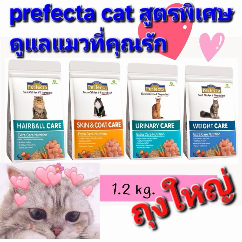อาหารแมว Perfecta cat ครบทุดสูตรสำหรับแมวที่ต้องการดูแลเป็นพิเศษ ขนาด 1 ...