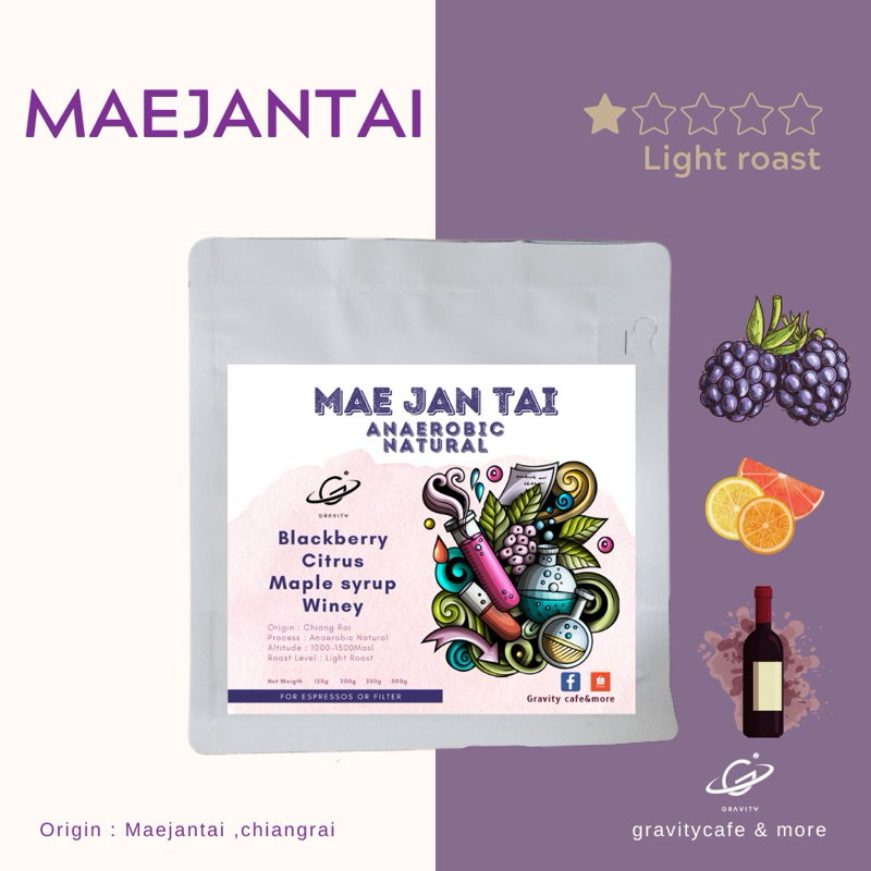 เมล็ดกาแฟคั่วอ่อน แม่จันใต้( Mae jan tai ) Anaerobic natural process ...