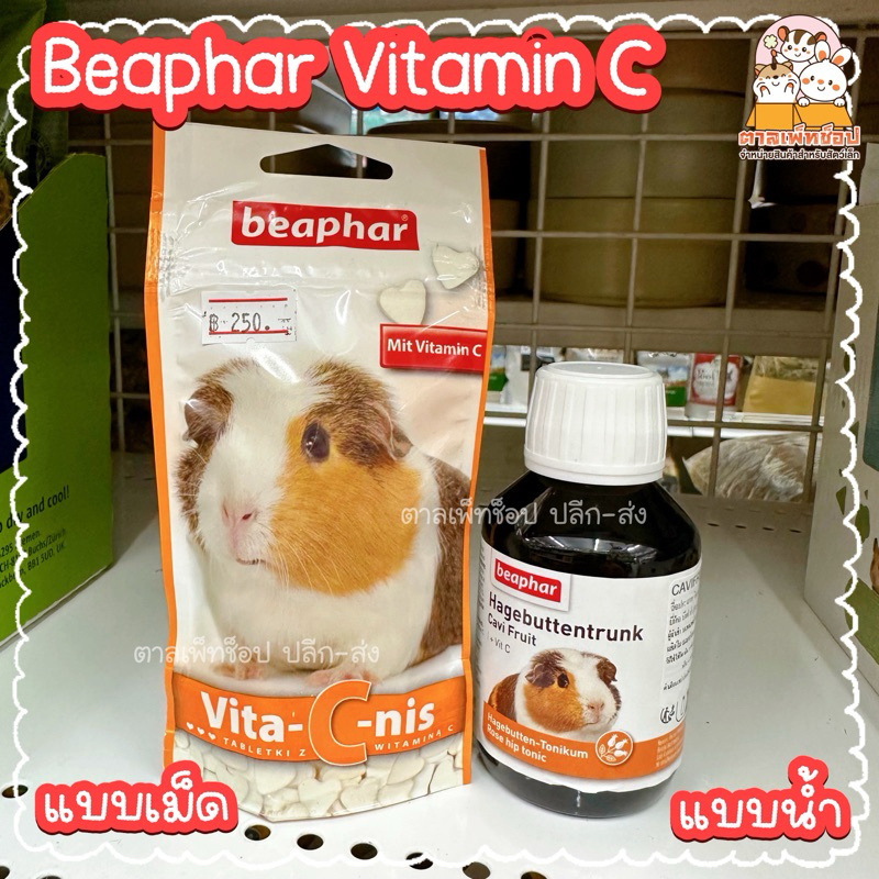 Beaphar Vitamin C บีฟาร์ วิตามินซี Cavi Fruit สำหรับหนูแกสบี้ เควี่ หนูขวัญ หนูตะเภา | Shopee ...