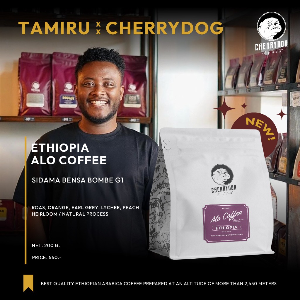 Cherrydog X Tamiru เมล็ดกาแฟพิเศษคั่วอ่อน Ethiopia Alo coffee Sidamo Bensa Bombe G1 Natural ...