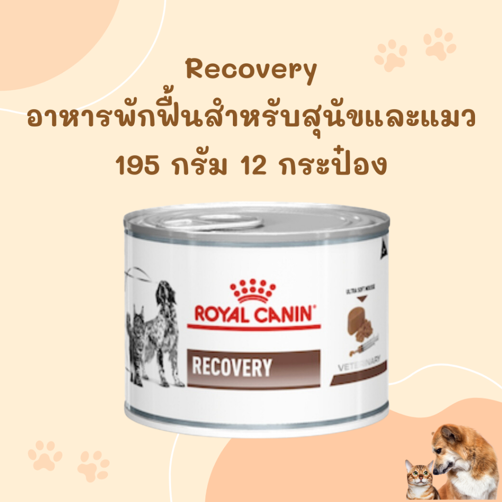 [ยกถาด] Recovery Royal Canin อาหารพักฟื้นสำหรับสุนัขและแมว โรยัล คานิน ...