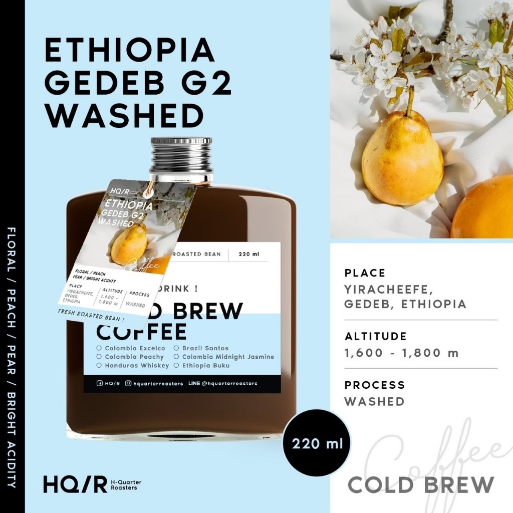Cold Brew Ethiopia Gedeb G2 (Ready to Drink) | Shopee Thailand
