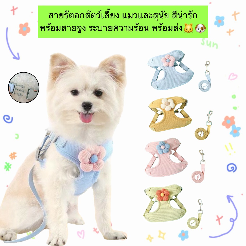 MG-1107 FLOWER HARNESS สายรัดอกสำหรับแมวและสุนัข พร้อมสายจูงแถมฟรี | Shopee Thailand